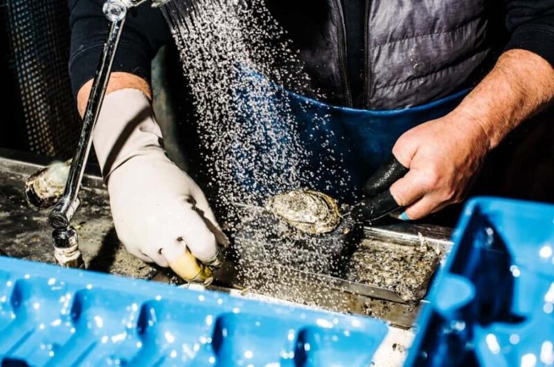 Sydney Fish Market Discovery Tour - Key Points