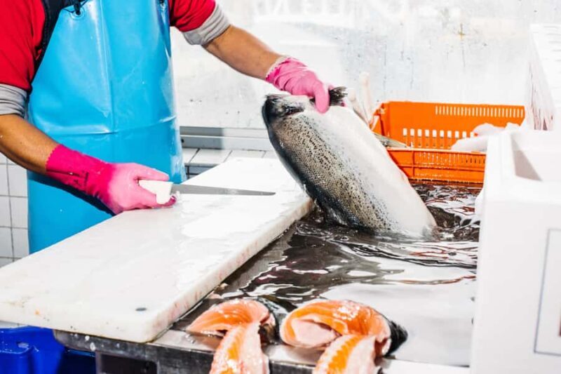 Sydney: Fish Market Food Tour - Final The Sum Up