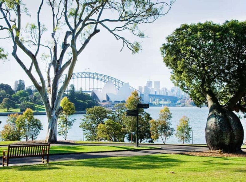 Sydney: Guided City Walk with Picnic Lunch - Practical Details and Considerations