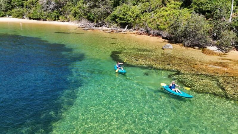 Sydney: Guided Kayak Taster Tour from Manly - The Experience in Detail
