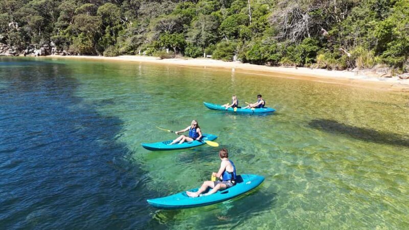 Sydney: Guided Kayak Taster Tour from Manly - Why This Tour Is Worth Considering