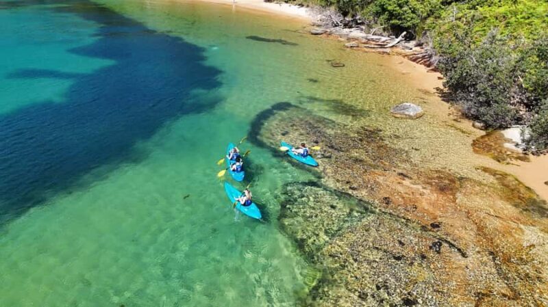 Sydney: Guided Kayak Taster Tour from Manly - Who Should Book This Tour?