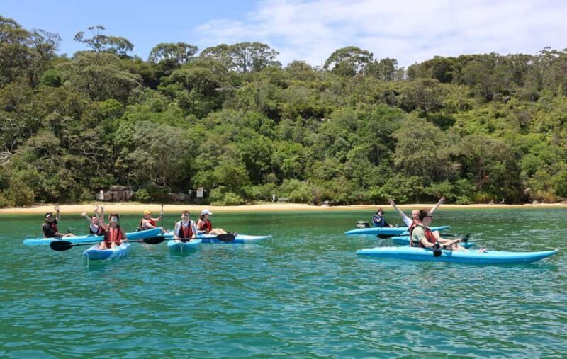 Sydney: Guided Kayak Tour of Manly Cove Beaches - Brief Overview