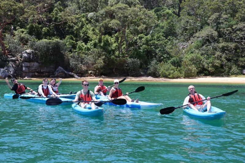 Sydney: Guided Kayak Tour of Manly Cove Beaches - Key Points