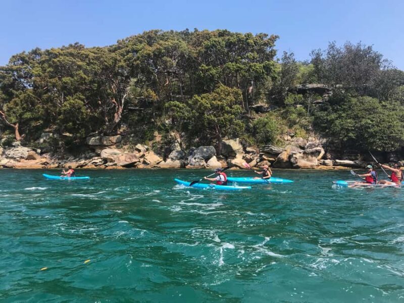Sydney: Guided Kayak Tour of Manly Cove Beaches - Itinerary Breakdown