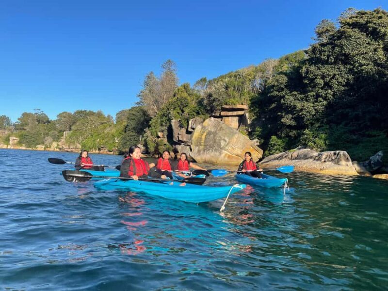 Sydney: Guided Kayak Tour of Manly Cove Beaches - Paddling Experience & Equipment