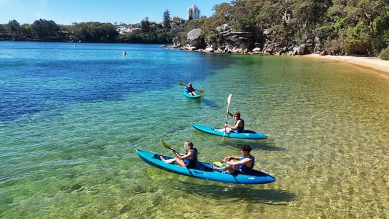 Sydney: Guided Kayak Tour of Manly Cove Beaches - Value for Money