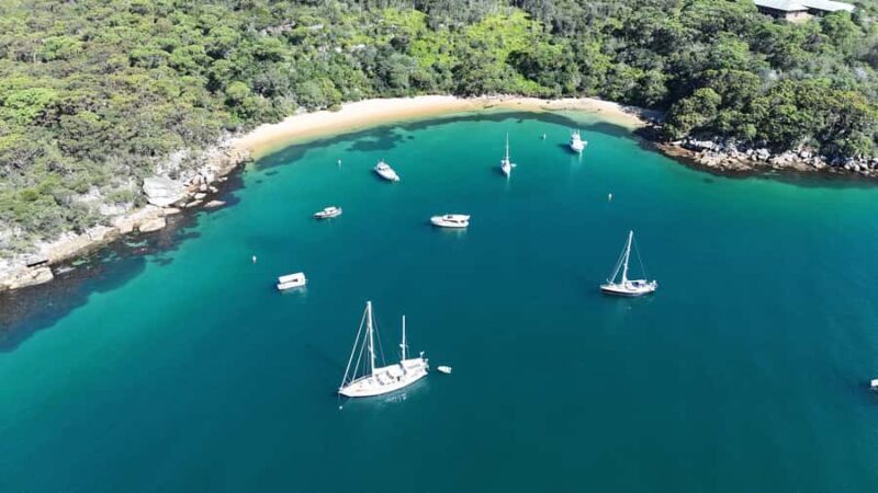 Sydney: Guided Kayak Tour of Manly Cove Beaches - The Sum Up