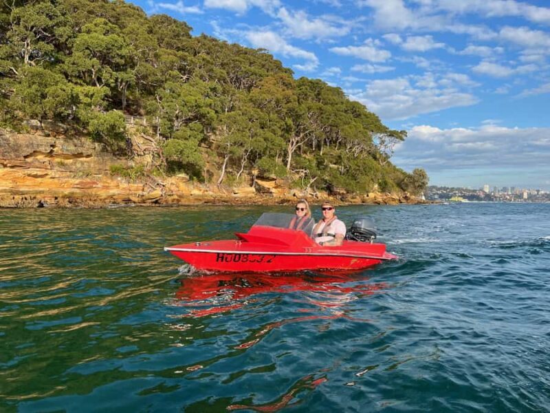 Sydney: Guided Sydney Harbour Grand Tour (self drive) - Who Should Book?