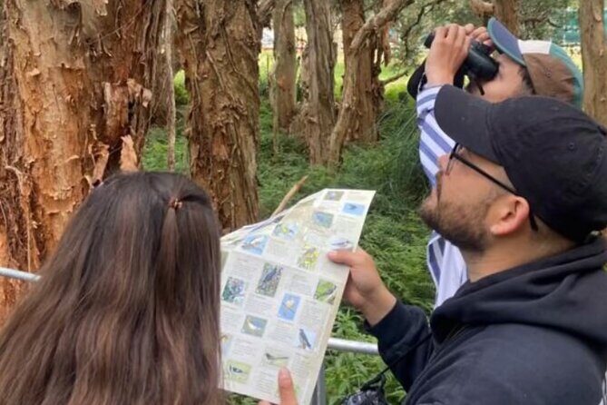 Sydney Guided Wildlife Walk Explore Birds and Nature - Key Points  