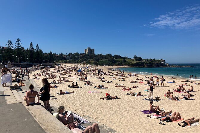 Sydney Half Day Luxury Private Tour - Final Drive and Reflection