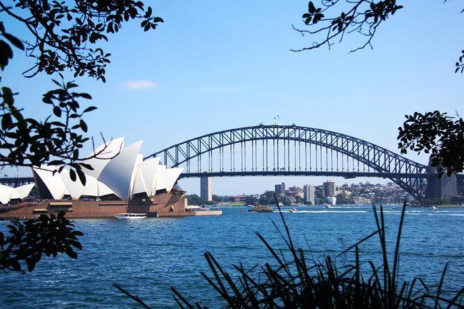 Sydney Half Day Private Tour: See Sydney Opera House and Bondi - An In-Depth Look at the Sydney Half Day Tour