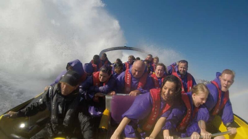 Sydney Harbour: 45-Minute Extreme Adrenaline Rush Ride - The Thrill Factor and Safety