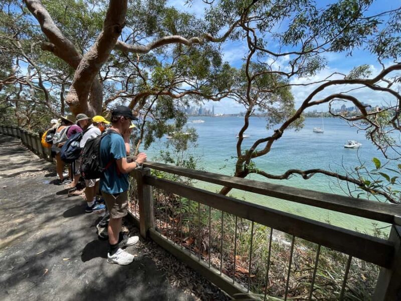 Sydney Harbour National Park 2-Hour Walking Tour - Why This Tour Is Worth Considering