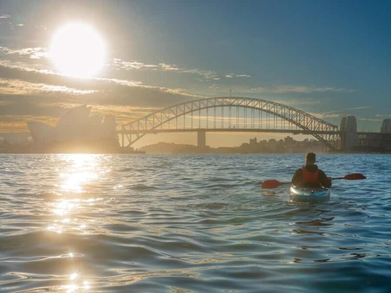Sydney: Harbour Sunrise Kayak Tour - Key Points