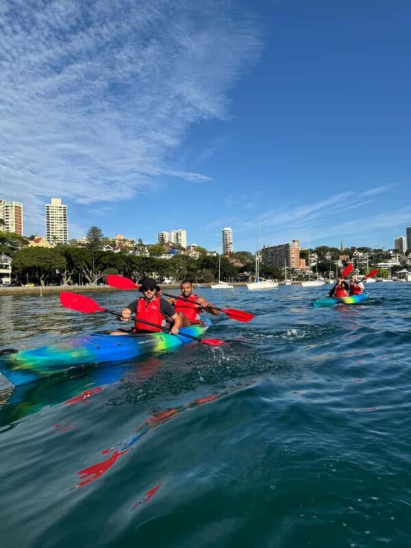 Sydney: Harbour Sunrise Kayak Tour - Who Will Love This Tour?