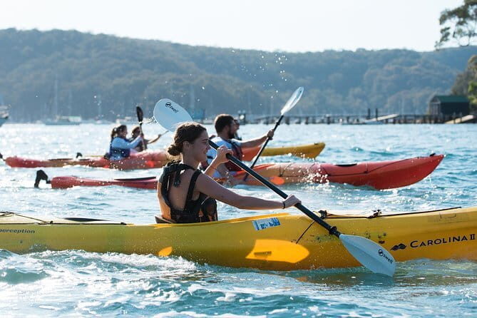 Sydney Harbour Sunset Dinner Paddle - Who Should Consider This Tour?