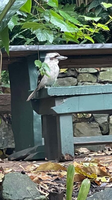 Sydney: Harbour Views & Hidden Histories Walking Tour - Key Points