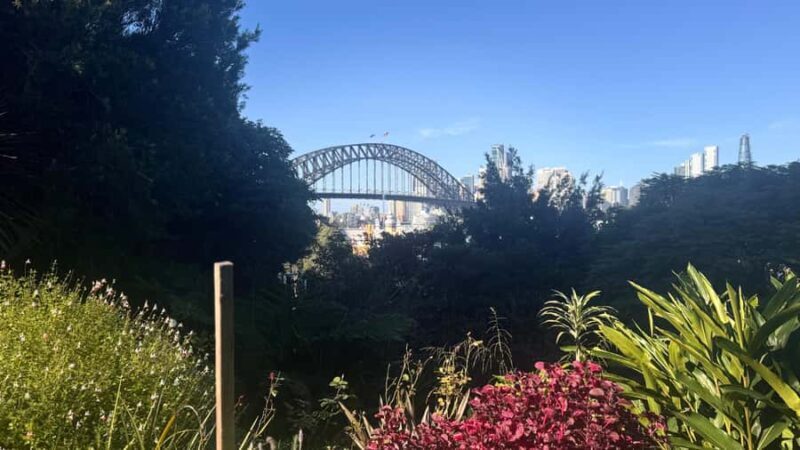 Sydney: Harbour Views & Hidden Histories Walking Tour - A Deep Dive into the Tour Experience