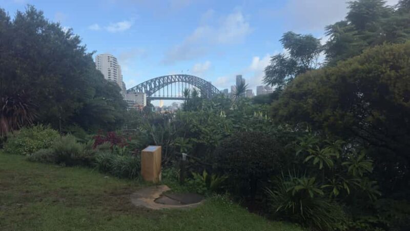 Sydney: Harbour Views & Hidden Histories Walking Tour - Authentic Insights from Reviews