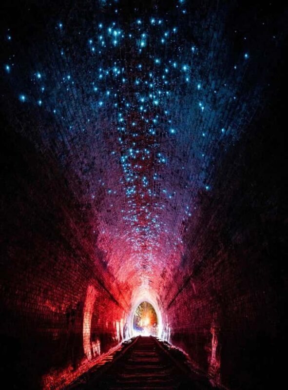 Sydney: Helensburgh Glow Worm Tunnel Tour with Transfer - The Itinerary Breakdown: What to Expect