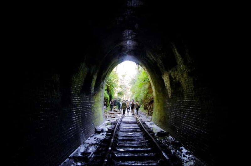 Sydney: Helensburgh Glow Worm Tunnel Tour with Transfer - Practical Details: Transportation, Timing, and Cost