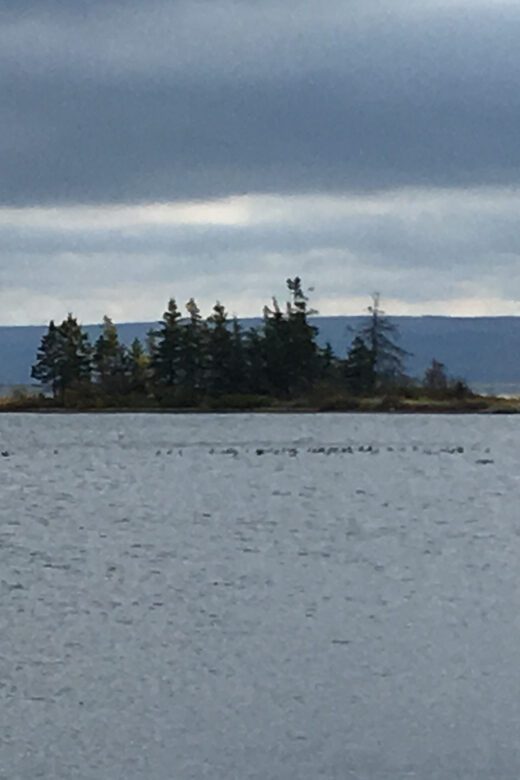 Sydney: Highland Village & Bell Museum Cruise Excursion - A Closer Look at the Tour Itinerary