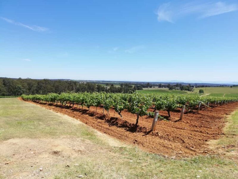 Sydney : Hunter Valley Private Wine, & Cheese Day Tour - Key Points