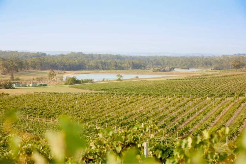 Sydney: Hunter Valley Wineries Day Trip with Food Tastings - The Value of the Tour