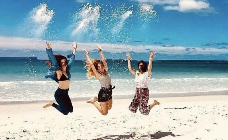 Sydney: Jervis Bay Day Trip with Dolphins, Roos & Beach Time - Key Points