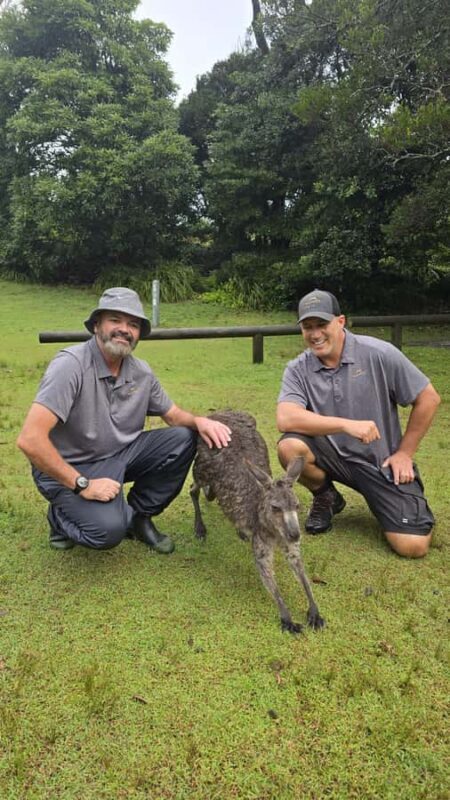 Sydney: Jervis Bay Day Trip with Dolphins, Roos & Beach Time - An Authentic Day in Jervis Bay: What to Expect