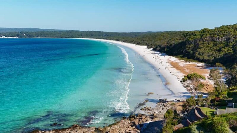 Sydney: Jervis Bay & South Coast Small Group Wild Kangaroos - Experience the Best of Jervis Bay & South Coast in a Small Group