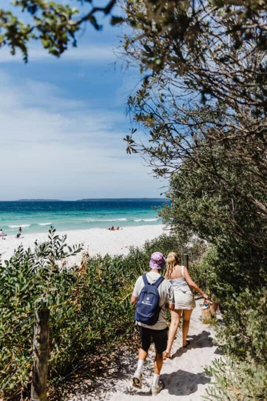 Sydney: Jervis Bay Tour with Beaches, Koalas & Kangaroos - Practical Details and Logistics