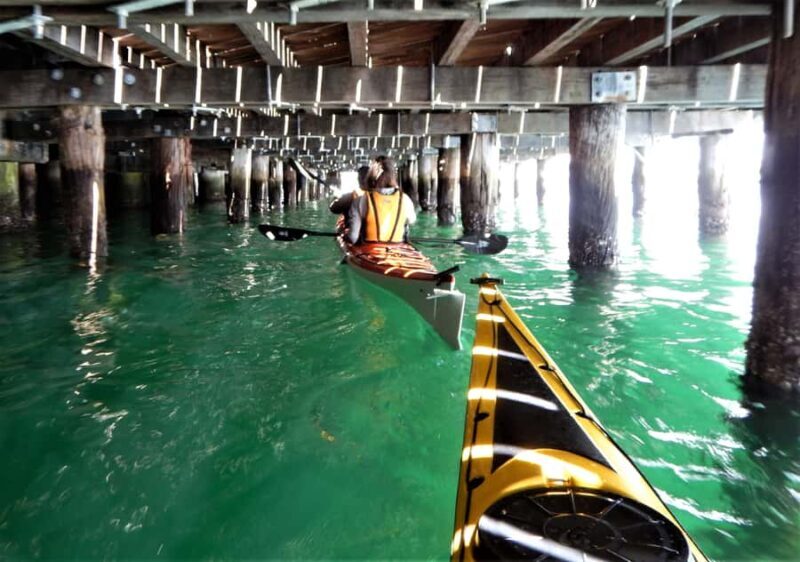 Sydney: Kayak to Goat Island At The Heart of Sydney Harbour - Final Thoughts: Is This Tour Worth It?