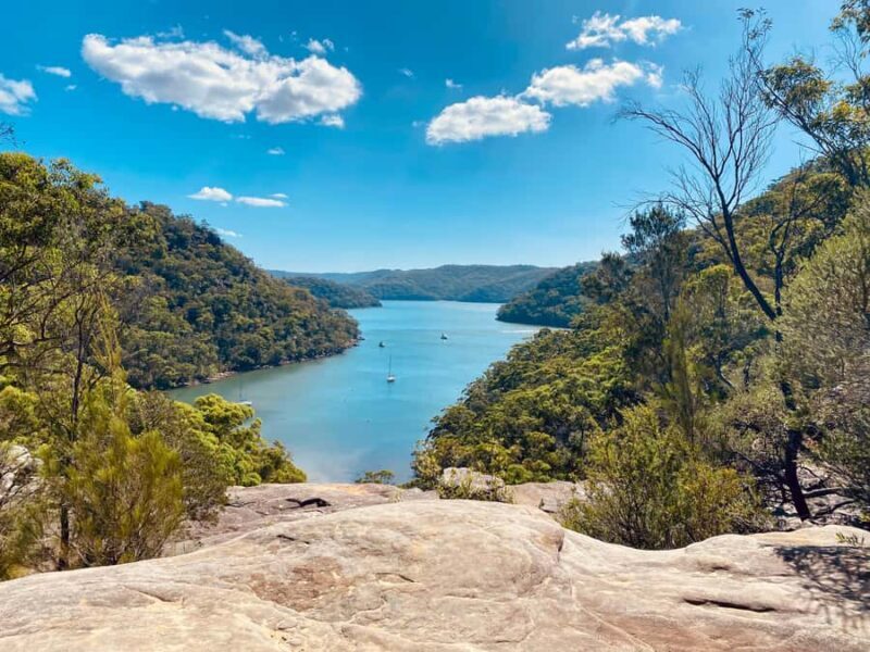 Sydney: Ku-ring-gai National Park with swim and picnic - An Authentic Day in Ku-ring-gai Chase National Park