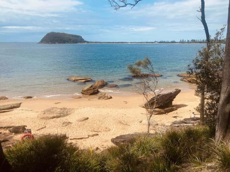 Sydney: Ku-ring-gai National Park with swim and picnic - FAQ