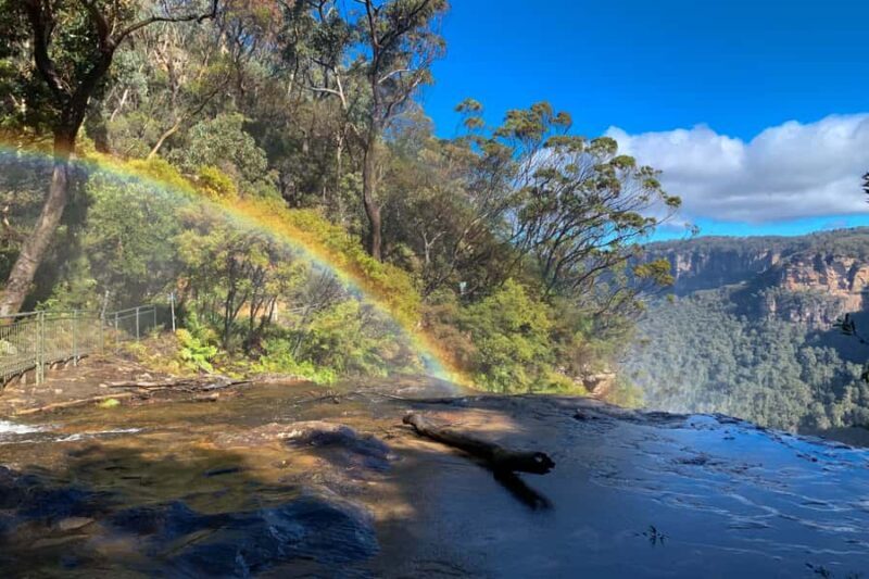 Sydney: Luxury Blue Mountains Adventure with Wentworth Falls - Authentic Reviews That Add Depth
