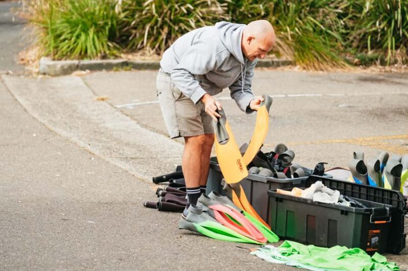 Sydney: Manly and Shelly Beach Snorkeling Tour - The Itinerary: What to Expect