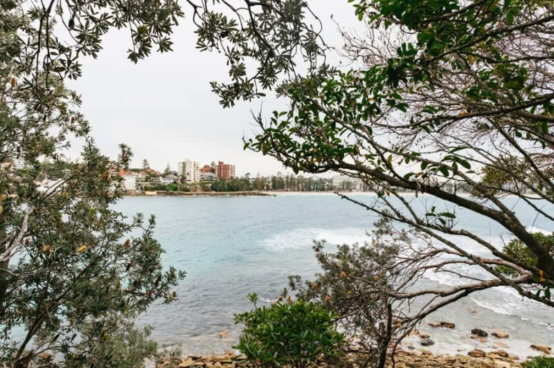 Sydney: Manly and Shelly Beach Snorkeling Tour - The Guides and Equipment