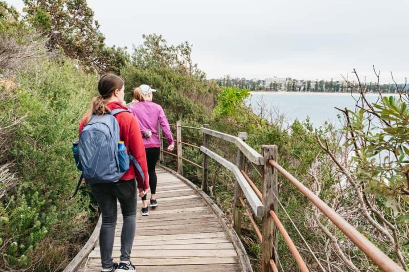 Sydney: Manly and Shelly Beach Snorkeling Tour - FAQ