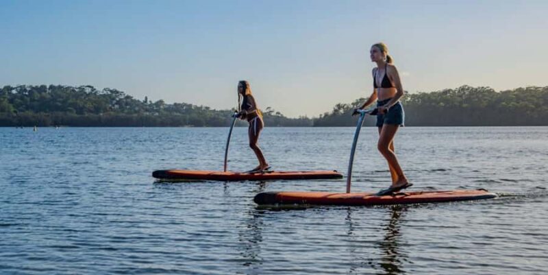 Sydney: Narrabeen Lagoon Sunrise SUP and Breakfast - Practical Details and Considerations