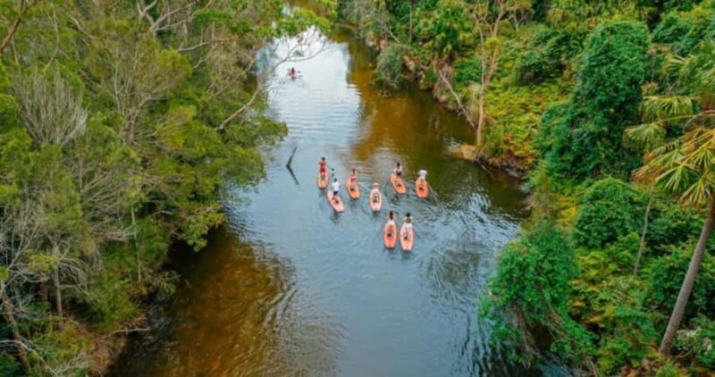 Sydney: Narrabeen Lagoon SUP Tour with Instructor - A Deep Dive into the Narrabeen Lagoon SUP Tour