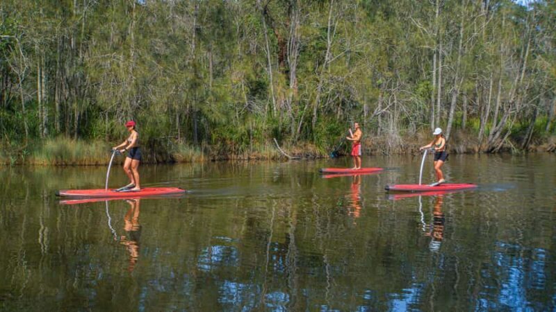Sydney: Narrabeen Lagoon SUP Tour with Instructor - Final Thoughts