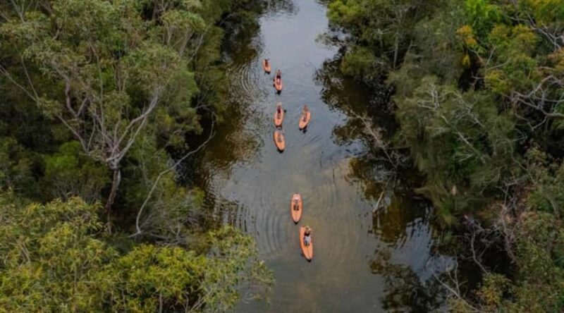 Sydney: Narrabeen Lagoon SUP Tour with Instructor - FAQ