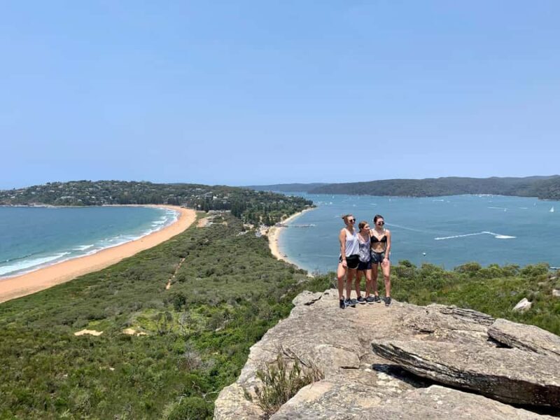 Sydney: Northern Beaches and Ku-ring-gai National Park Tour - Wildlife Encounters and Natural Beauty