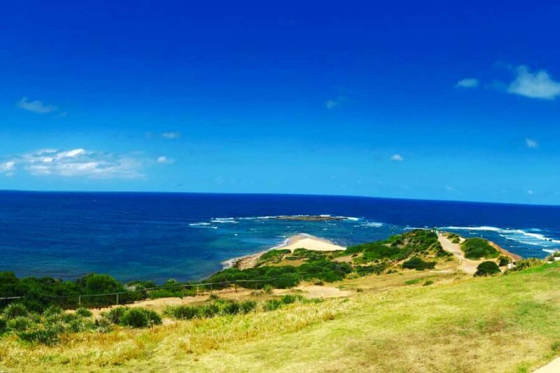 Sydney: Northern Beaches and Ku-ring-gai National Park Tour - The Ferry Ride and Final Views