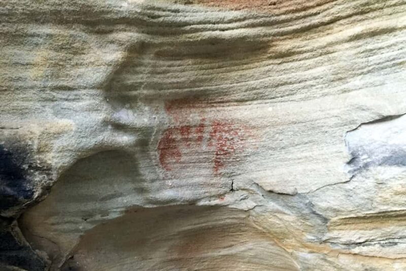 Sydney: Northern Beaches and Ku-ring-gai National Park Tour - Final Thoughts