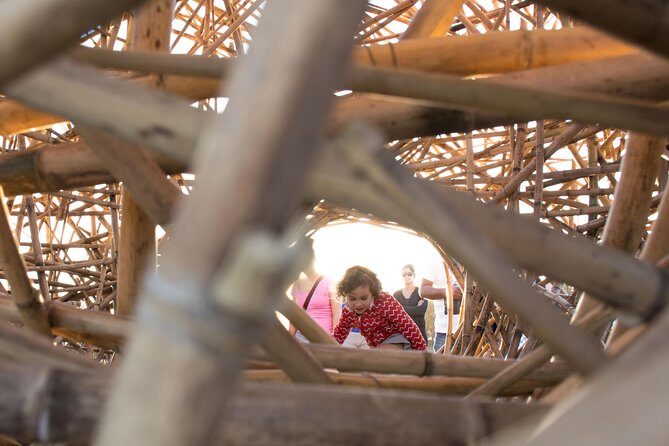 Sydney One Day Tour with a Local: 100% Personalized & Private - FAQ