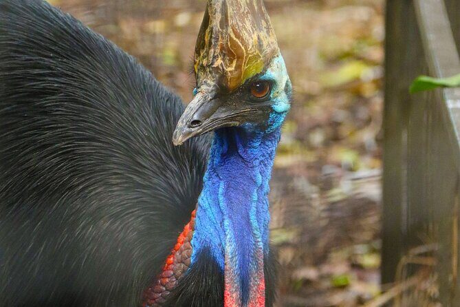 Sydney Opera House and Aussie Animals Private Tour - What Reviewers Say