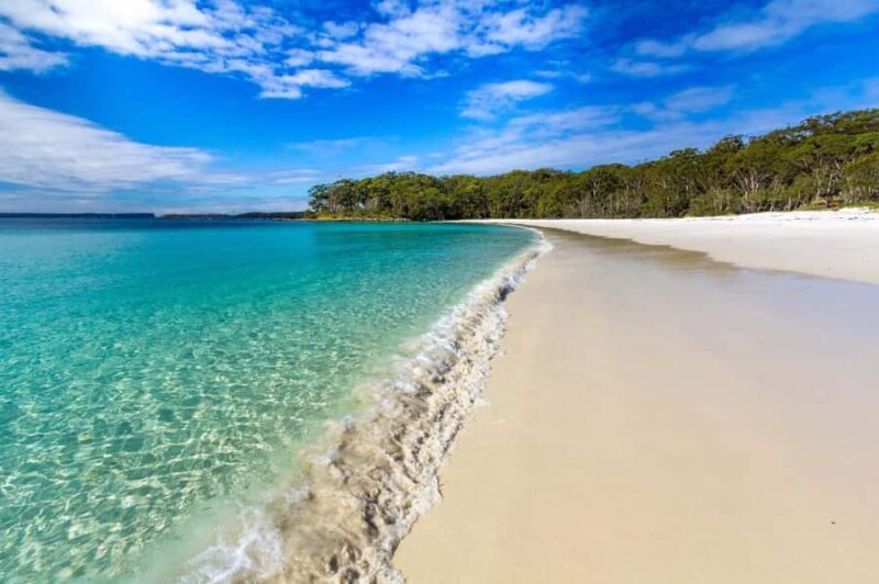Sydney: Port Stephens Day Trip with Dolphin Cruise or Hike - Key Points